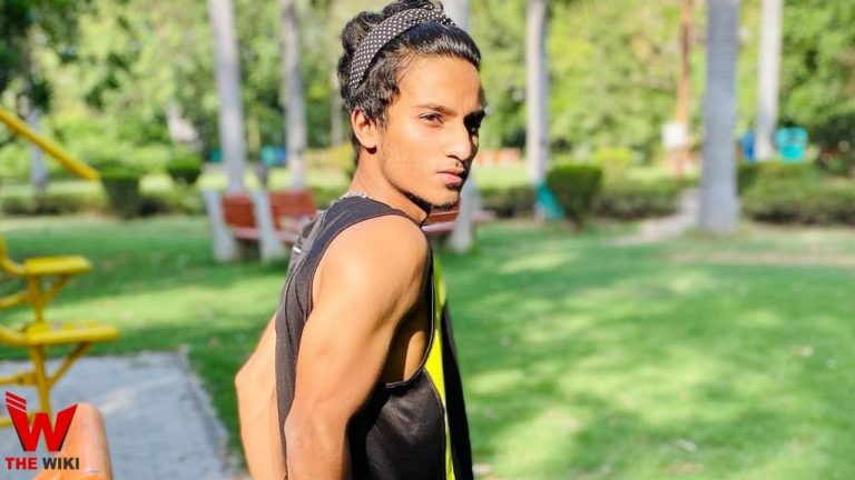 Ayush Badoni (Cricketer) Height, Weight, Age, Affairs, Biography & More