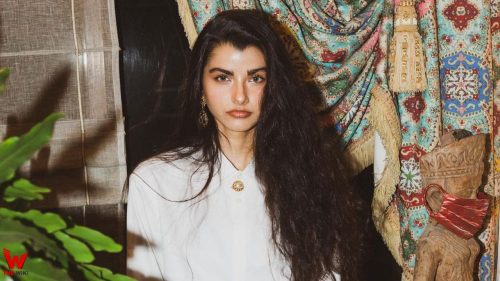 Ayesha Kanga (Actress) Height, Weight, Age, Affairs, Biography & More