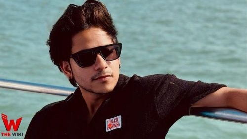 Purav Jha (YouTuber) Wiki, Age, Girlfriend, Family, Height, Weight, Web ...